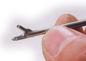 Home Page [www.majesticmedical.com]